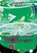 進化設計図【R】{23EX2超22/超38}《自然》 - カードショップはっち通販店【デュエルマスターズ】